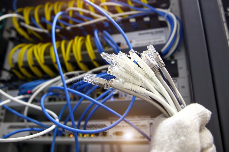 Close-up Lots of RJ45 UTP Cat6 LAN Internet Network Cable Fiber Optic ...