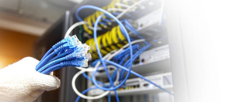 Close-up Lots of RJ45 UTP Cat6 LAN Internet Network Cable Fiber Optic ...