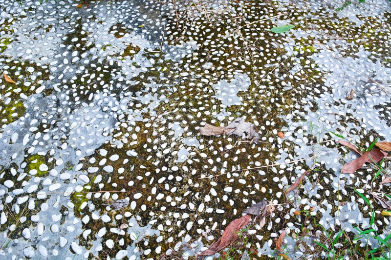 Close Up Low Angle Abstract Object. Suitable for Background Stock Photo ...