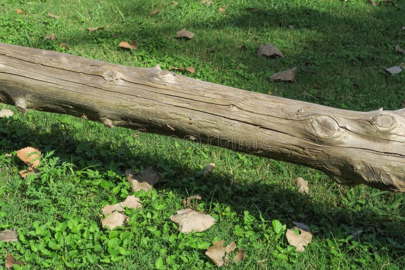 Close Up of a Low Hitching Post Stock Image - Image of texas, scenery ...