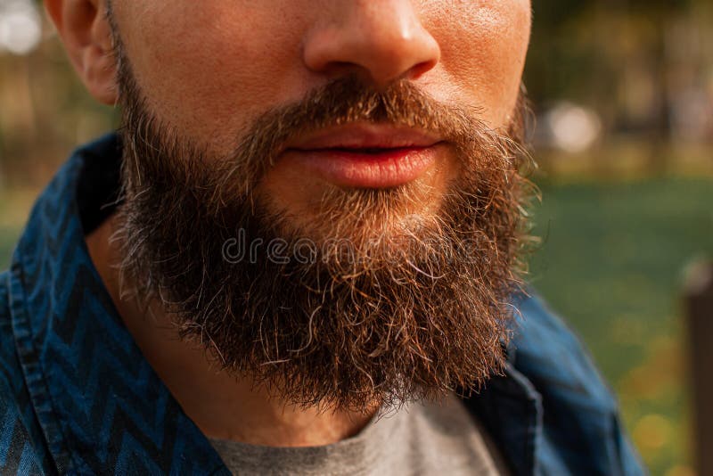Close Up of Lower Part of Man`s Face with Beard Stock Image - Image of ...
