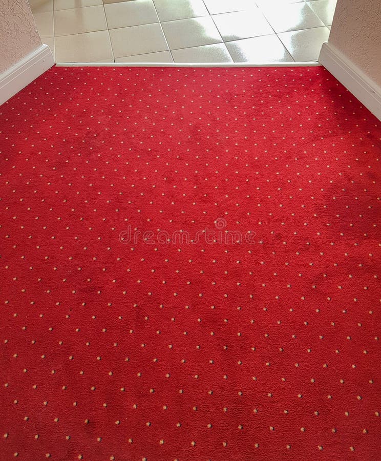 Close-up of the Luxurious Red Carpet on the Floor, the Interior of the ...