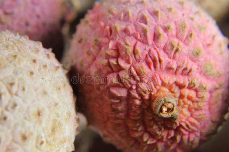 Close-up lychee stock image. Image of eating, leechee - 80159273