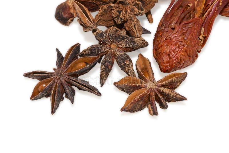 284 Javitri Stock Photos - Free & Royalty-Free Stock Photos from Dreamstime