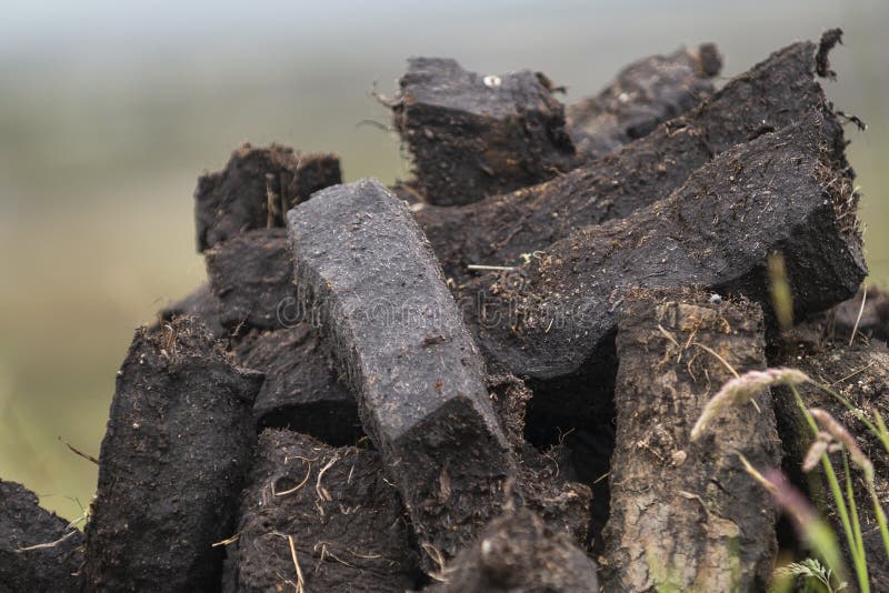 Footing the Turf in an Irish Bog Stock Photo - Image of irish, open ...