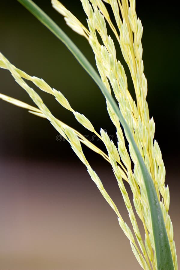 Flordia Keys Stock Photos - Free & Royalty-Free Stock Photos from ...