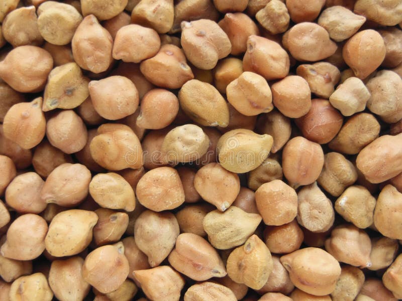 Lentils and Pulses stock image. Image of lentil, legume - 48218361