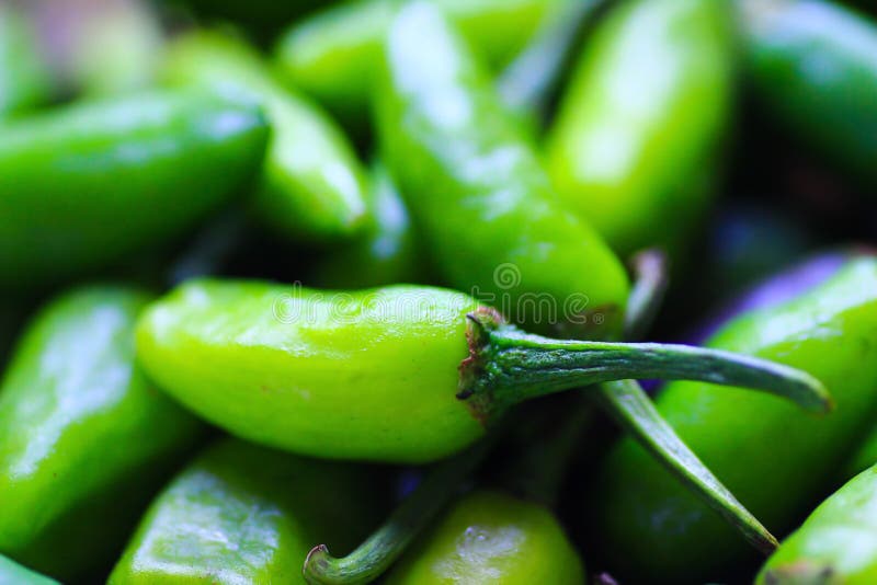 Chilli Macro Photo stock image. Image of dried, macro - 251842071