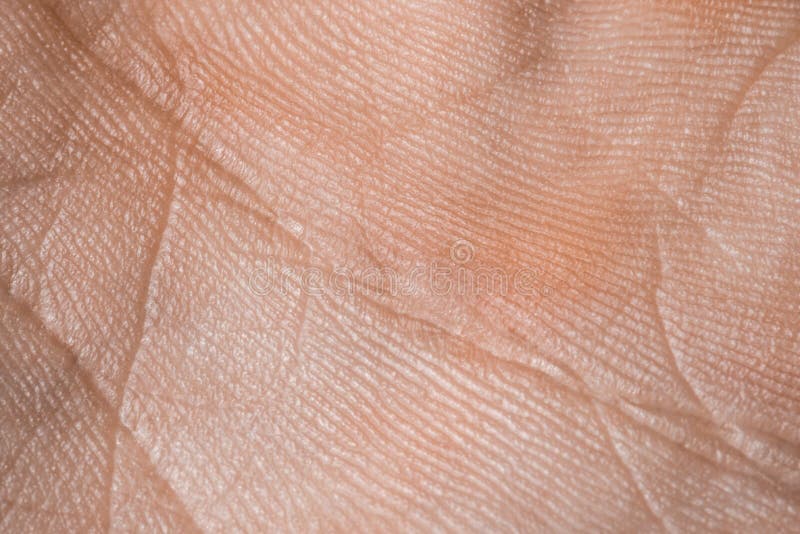 Close Up Macro Image of the Skin Surface Texture of Human Hands Palms ...