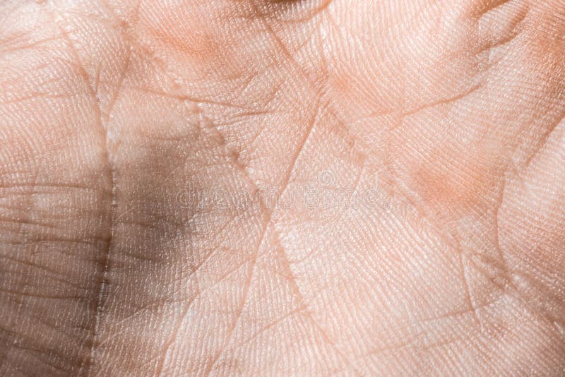 Close Up Macro Image of the Skin Surface Texture of Human Hands Palms ...