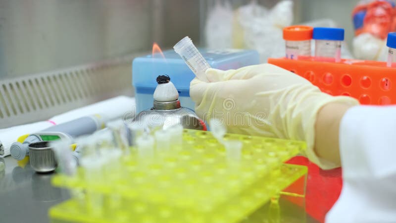 Close Up Macro of Micropipette Transfer Sample into an Eppendorf Under ...