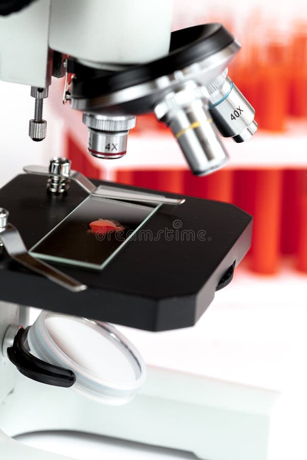 Close Up Macro Microscope with Blood Sample on White Background Stock ...