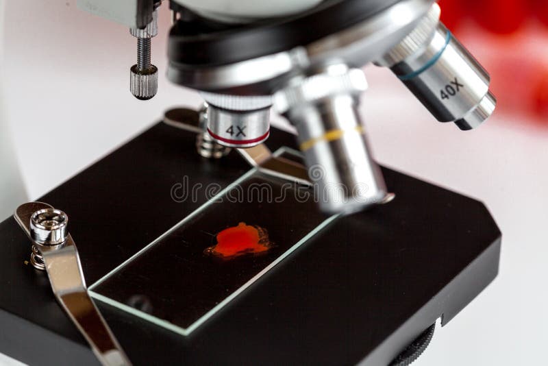 Close Up Macro Microscope with Blood Sample on White Background Stock ...