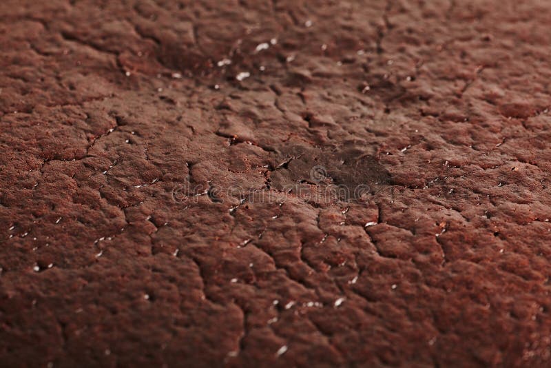 Close-up Macro Photograph of Chocolate Cake Texture Stock Image - Image ...