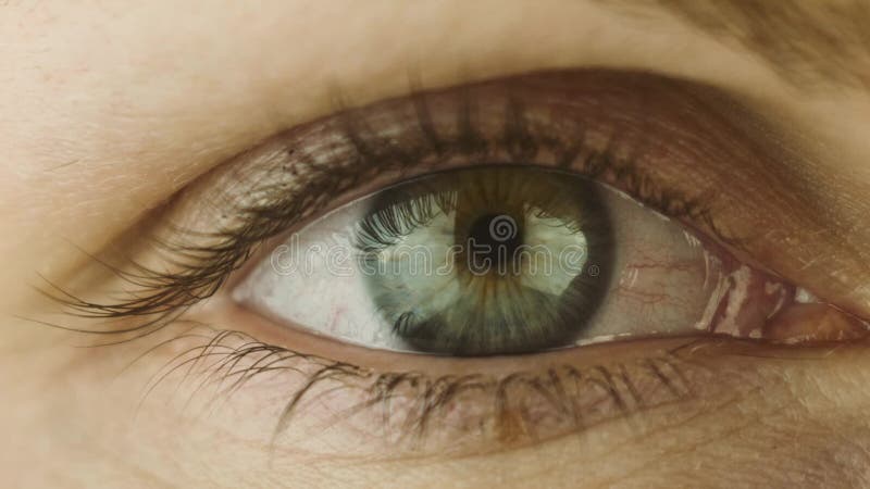 Close-Up Macro Shot of Female Human Eye Blinking Stock Video - Video of ...