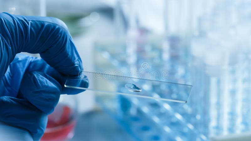 Close Up Macro Shot of a Scientist in Gloves Holding White Chemical ...