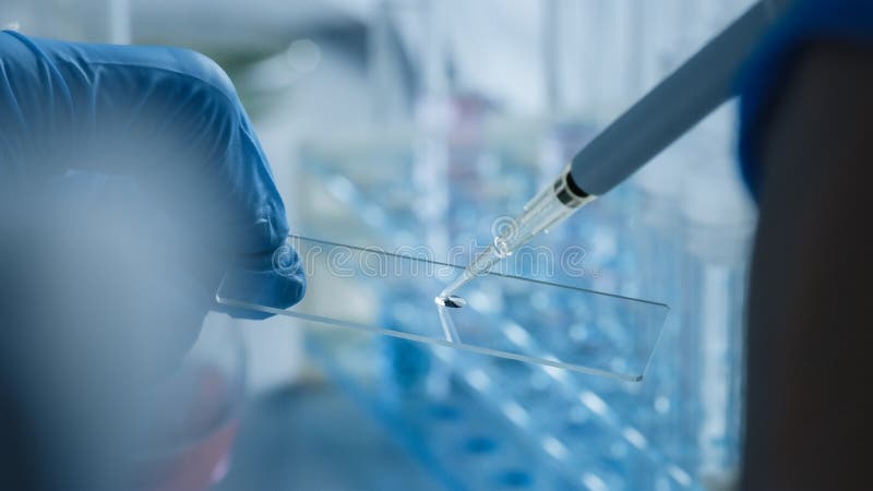 Close Up Macro Shot of a Scientist in Gloves Using Micro Pipette and ...