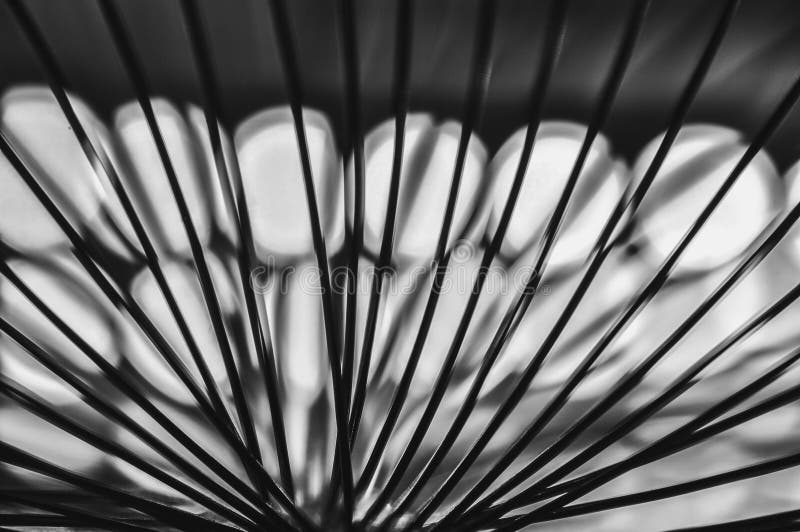 Close-up Macro of a Thin Wire Backlit in Black and White Abstraction ...