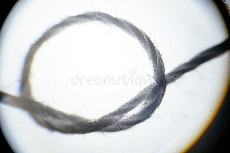 Ultra Microscopic Detail of a Sewing Thread Seen through a Microscope ...
