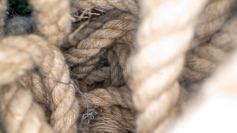 Close Up Macro View of the Rope. View from Inside the Bulk of Rope ...