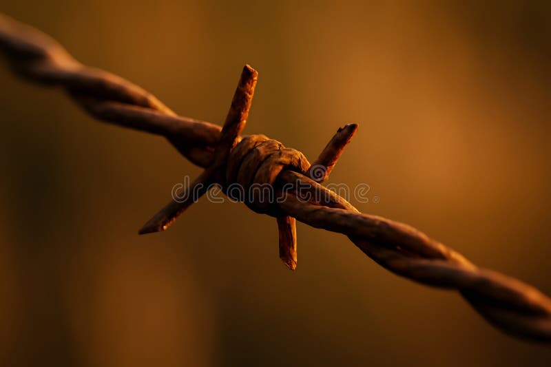 A Close-up Macro View of Rusty Barbed Wire Against a Warm, Blurry ...