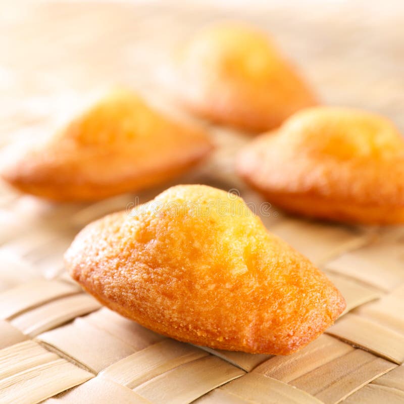 Madeleine cake stock image. Image of cake, baked, pastry - 223813093