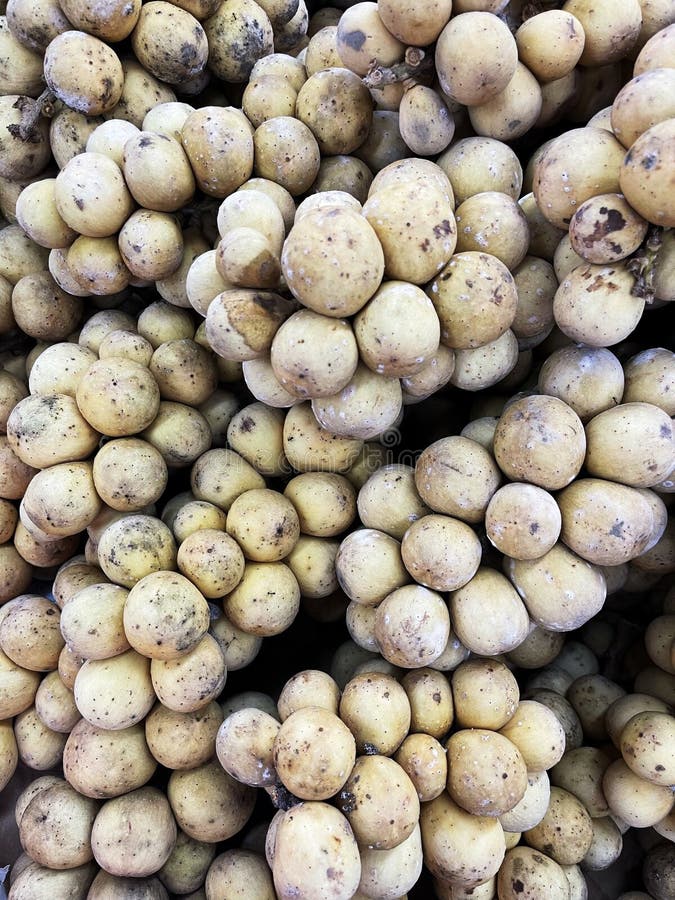 Duku-Langsat stock image. Image of close, langsat, malaysia - 292710895