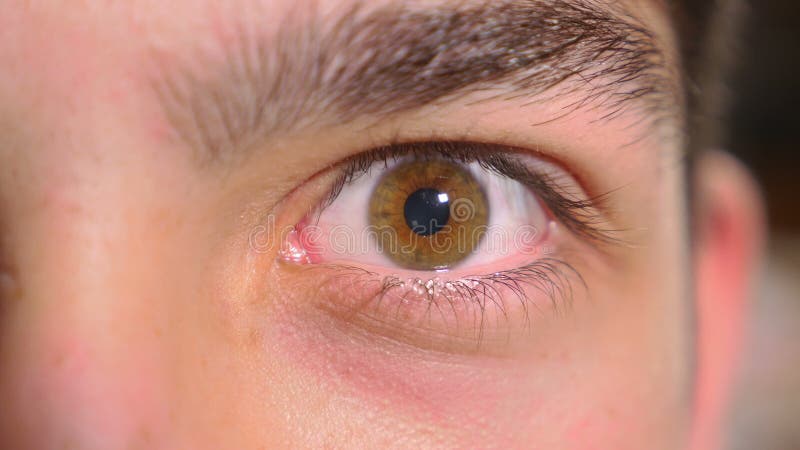 Close-up of Male Eye Getting Scared Stock Footage - Video of face ...
