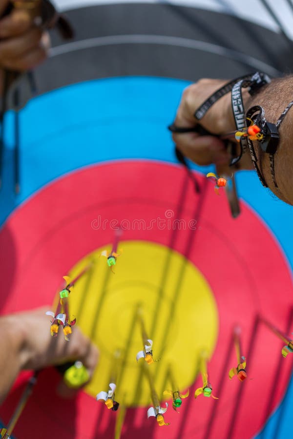 Close Up of Male Hands Pulling Out Arrows from an Archery Target. Stock ...