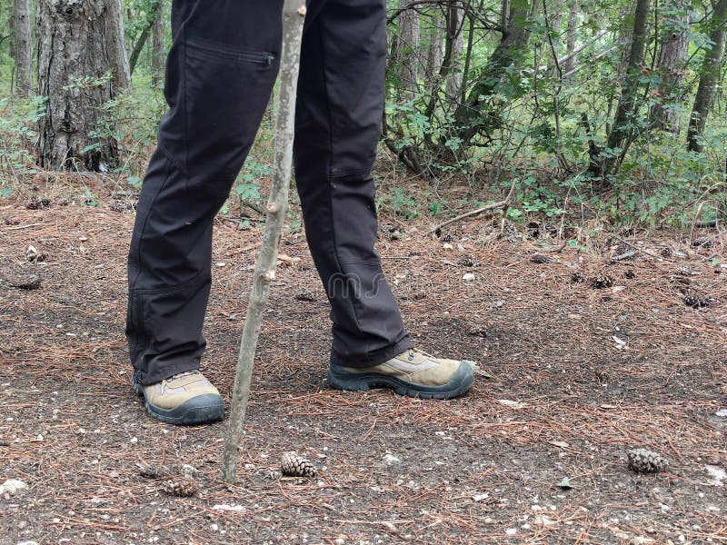 Close Up Male Legs Walking Along Forest Road Stock Photos - Free ...