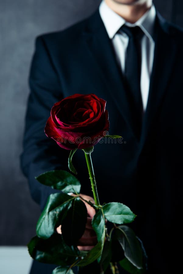 Close Up of Man in Black Suit Holding Red Rose Stock Image - Image of ...