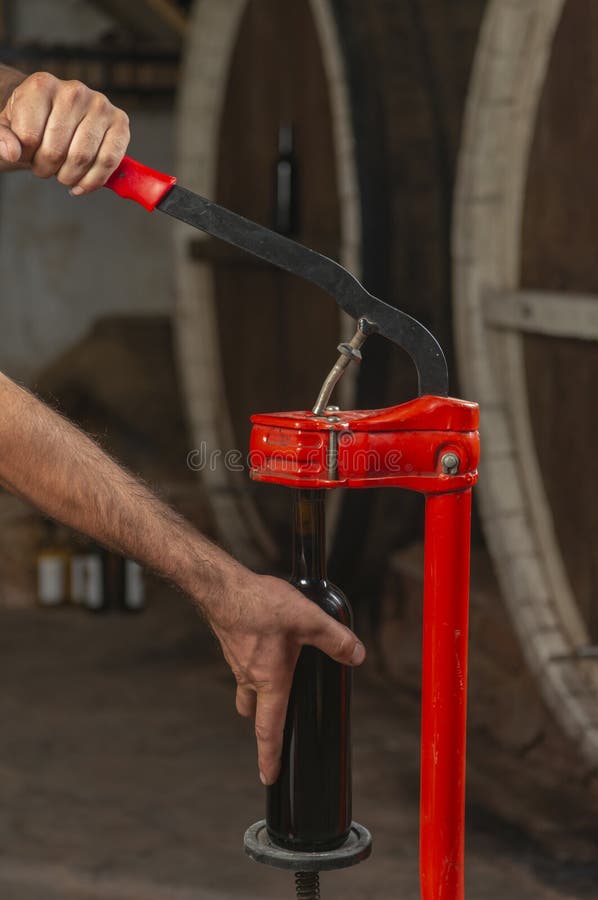 Close-up of a Man Corking a Bottle of Wine at a Winery Stock Photo ...