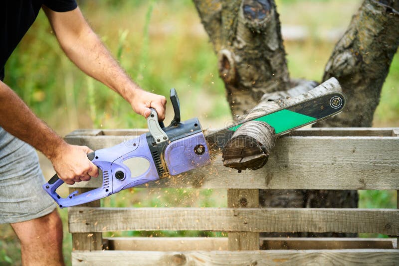 Close-up of Man Cutting Trees Using Electrical Chainsaw in Motion Stock ...