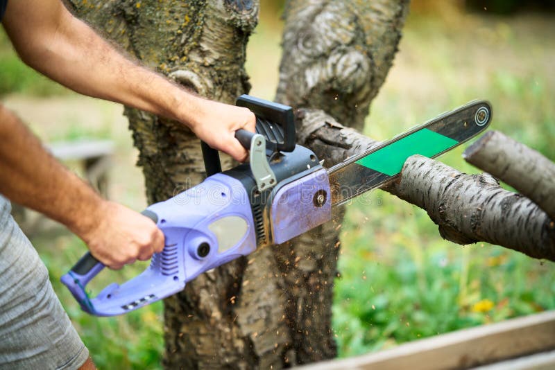 Close-up of Man Cutting Trees Using Electrical Chainsaw in Motion Stock ...
