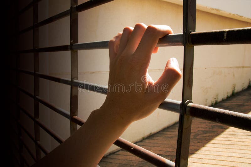 Close Up Man Hands Are Holding The Cage Door Stock Photo - Image of ...