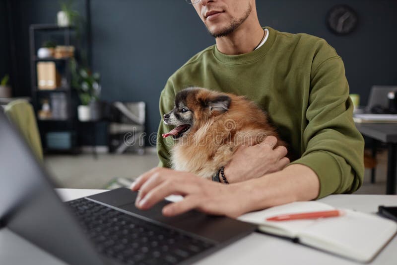 Close Up of Man Holding Dog in Lap Using Computer Stock Image - Image ...