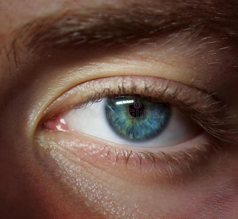 Close-up of a Man S Blue Eye Stock Image - Image of vision, scrutinize ...