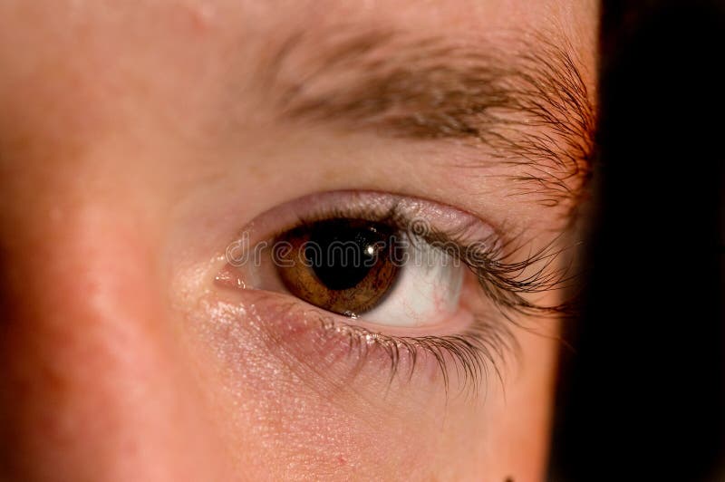 Close Up of a Man`s Eye Ball Stock Image - Image of young, dark: 183283743