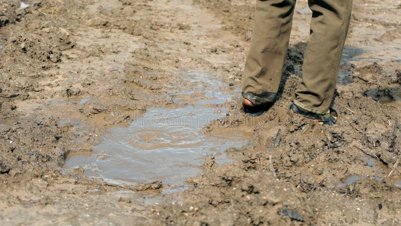 Close-up of a Man Standing in a Swamp. Legs of a Man Walking in a ...