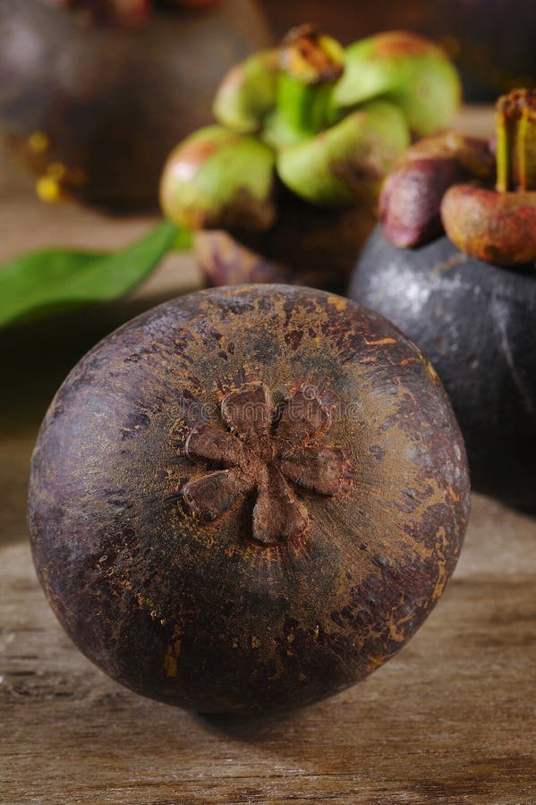 Close up of mangosteen stock photo. Image of mangosteen - 45628548
