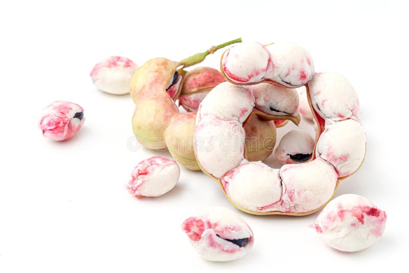 Sampaloc Tamarind Tree In Batangas, Philippines Stock Image - Image of ...