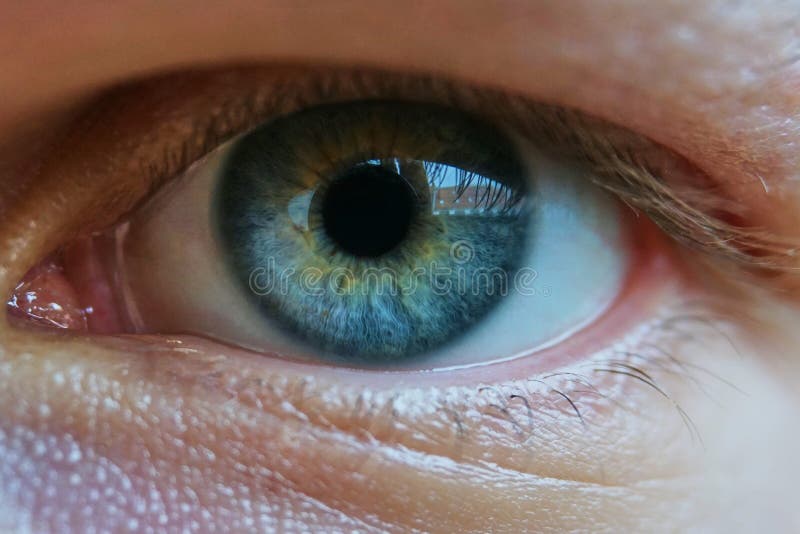 Close Up of a Mans Blue Eyes, Extrem Macro. Reflection of a Buildingin ...