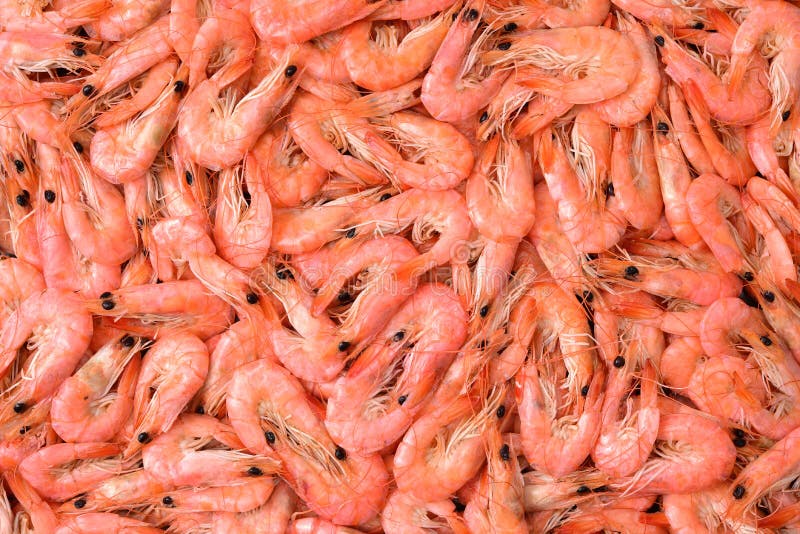 Many Cooked Shrimps are Laid Out on a White Plate. Stock Photo - Image ...