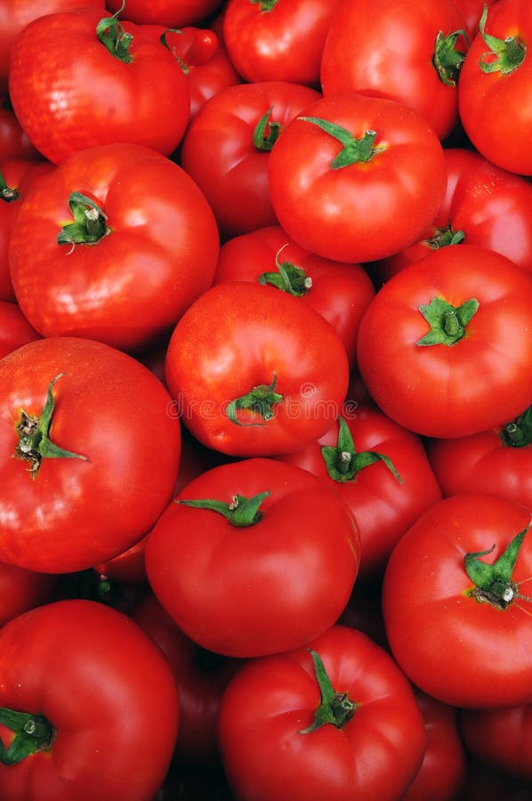 Close Up of Many Fresh Red Tomatoes Stock Image - Image of closeup ...