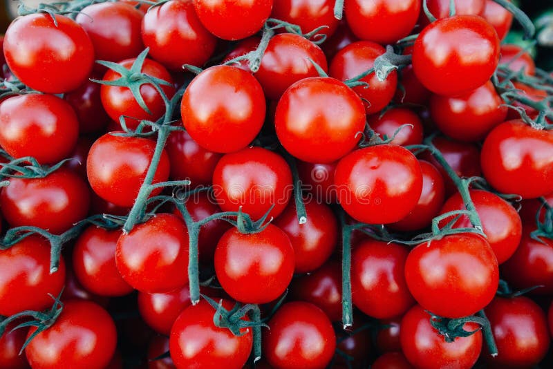 Close Up of Many Fresh Red Tomatoes. Stock Photo - Image of fruit ...