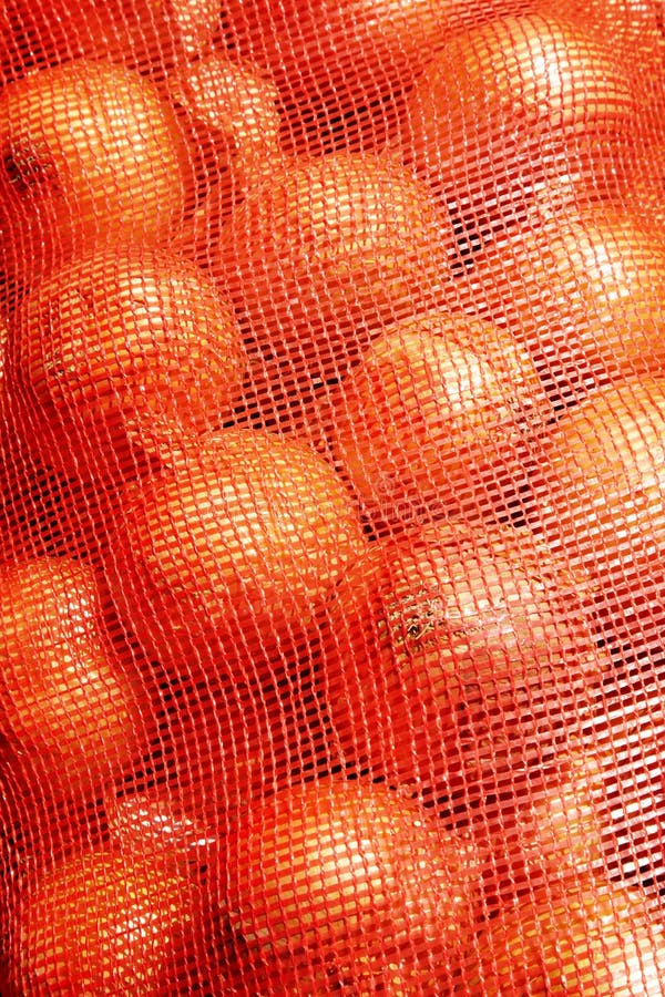 Close up many onion stock image. Image of diet, kitchen - 40867807