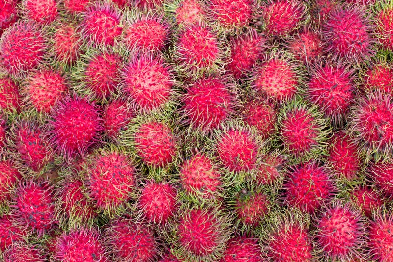 Rambutan texture stock photo. Image of fruit, tropical - 24763994