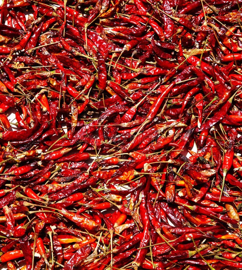 Close up many red chili stock image. Image of food, macro - 40867235