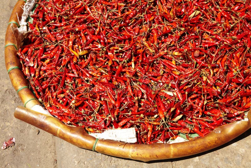 Many red chili in tray stock image. Image of asian, container - 40867991
