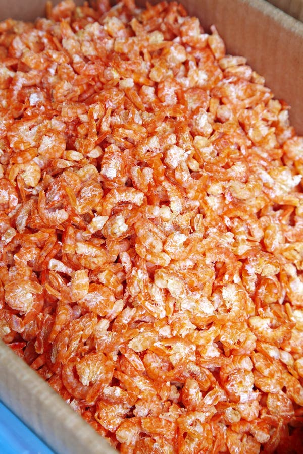 Close Up Many Small Dry Shrimp Stock Photo - Image of asia, orange ...